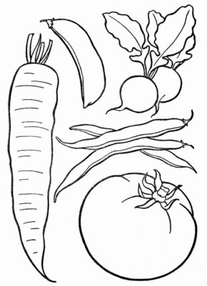 Free Printable Coloring Pages of Vegetables & coloring book.