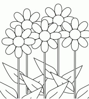 Wheat Flowers Coloring Pages & coloring book.