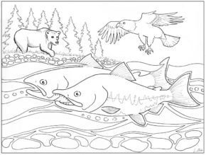 Water Animal Coloring Pages & coloring book. 6000+ coloring pages.