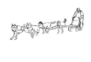 Coloring Pages Winter Google Dogs & book for kids.