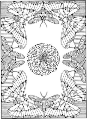 Insect Coloring Pages for Adults & coloring book.