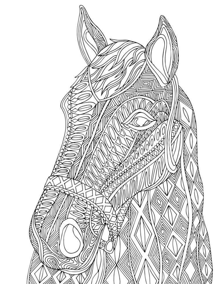 Printable Anti Stress Coloring Pages Horse & book for kids.