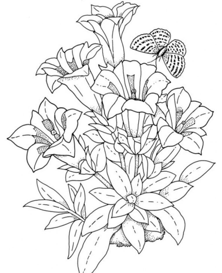 Simple Flower Coloring Pages for Adults & coloring book.