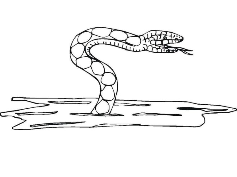 Trojan Horse Greek Coloring Pages & coloring book. Find your favorite.
