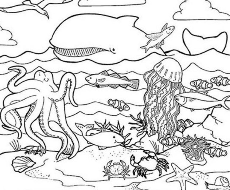Water Animal Coloring Pages & coloring book. 6000+ coloring pages.