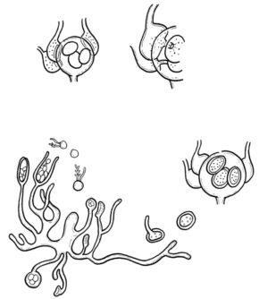 Coloring Pages Water Molecules & coloring book. 6000+ coloring pages.