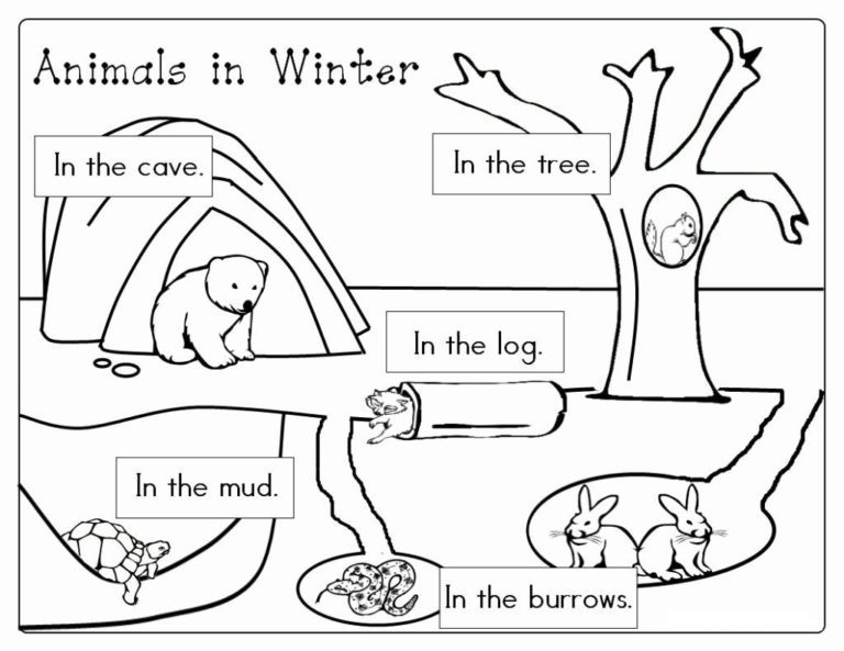 Winter Animal Hibernation Coloring Pages & book for kids.