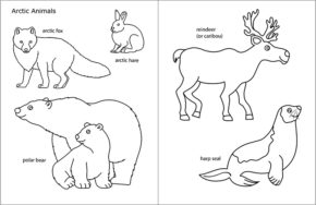 Winter Animals Coloring Pages for Preschool & book for kids.