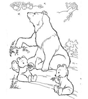 Winter Coloring Pages Bears & book for kids.
